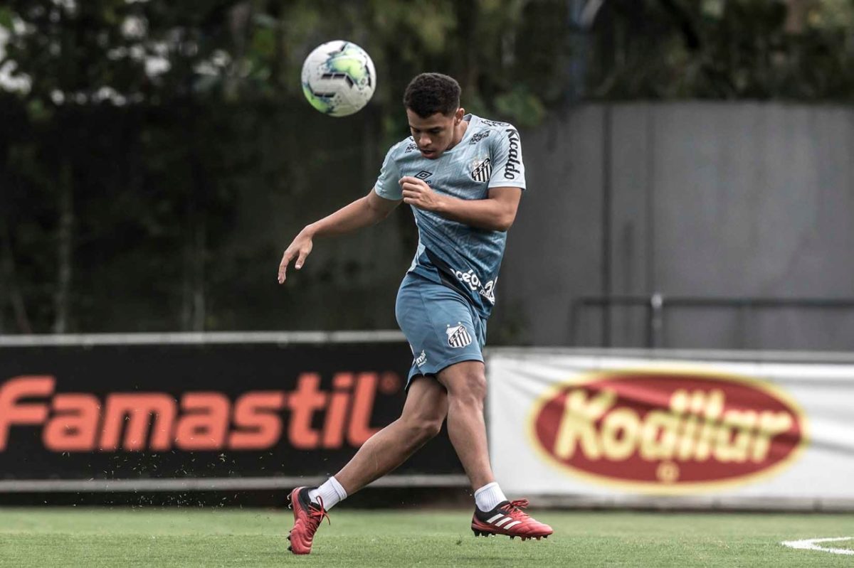 Sandry quer foco no Fortaleza e destaca bom ambiente do Santos - Diário ...