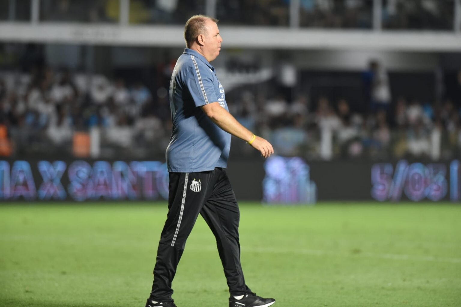 Marcelo Fernandes vai comandar o Santos contra o Novorizontino