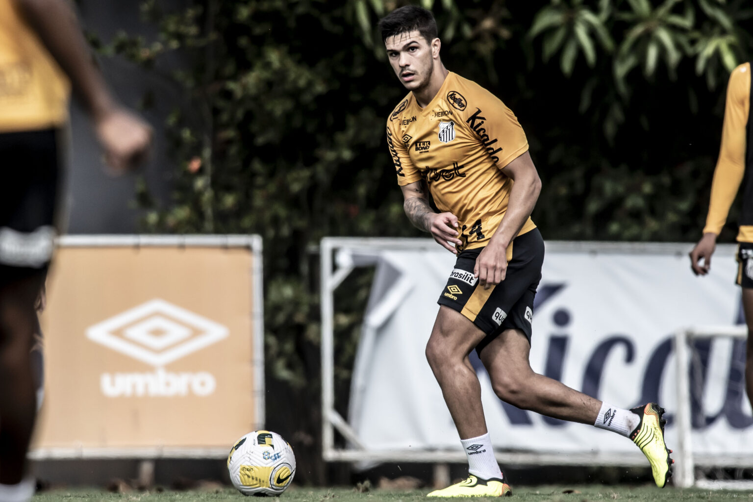 Santos terá o retorno de Rodrigo Fernández contra o Botafogo