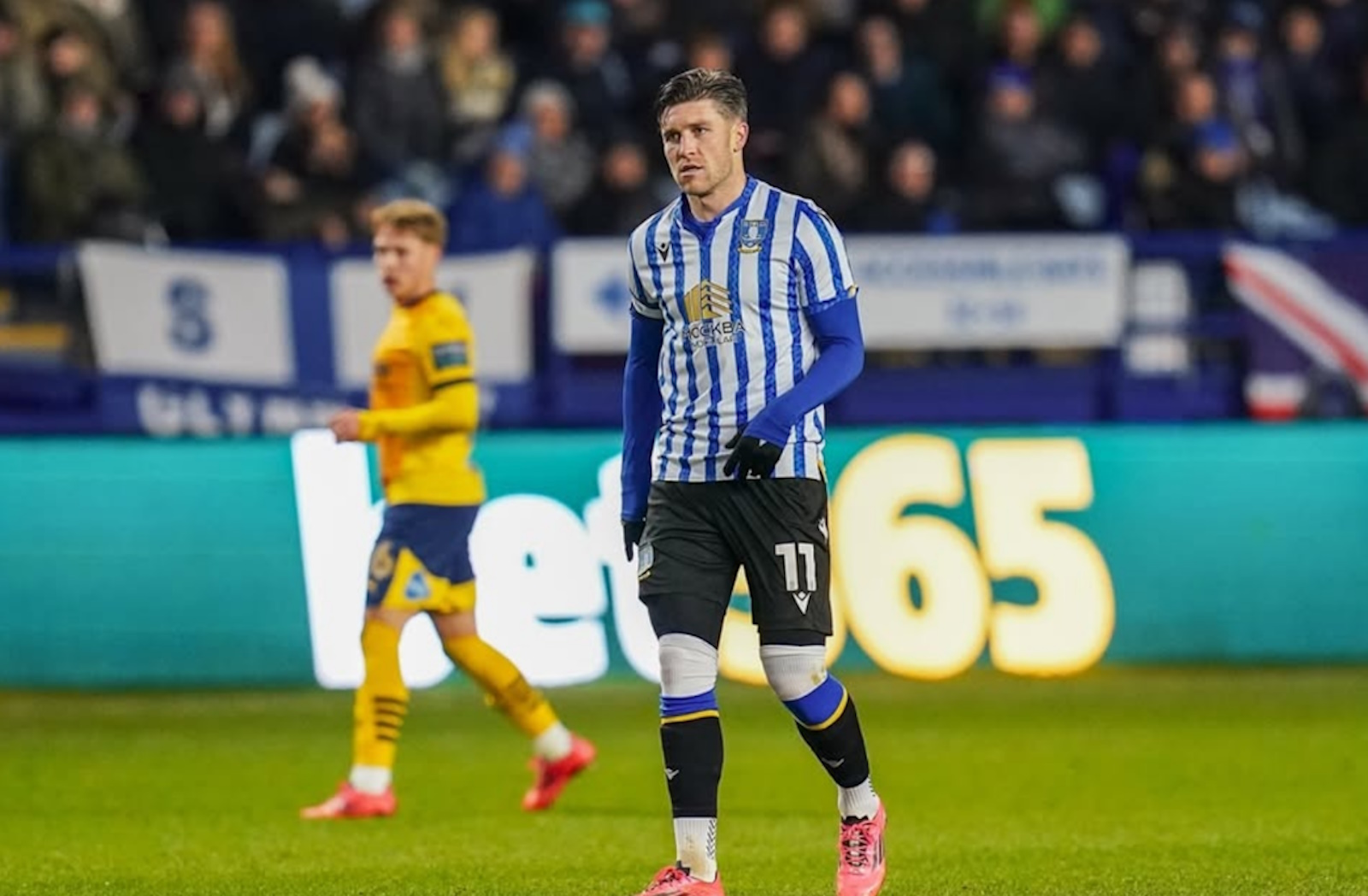 Inglês Josh Windass, do Sheffield Wednesday, confirma proposta do ...